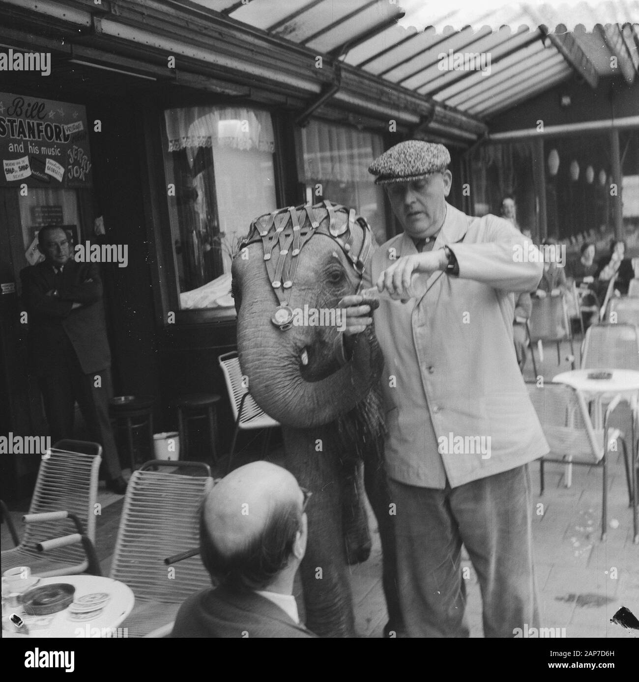 Baby elephant of circus Belli drinks lemonade at Heek Date: May 5, 1961 ...