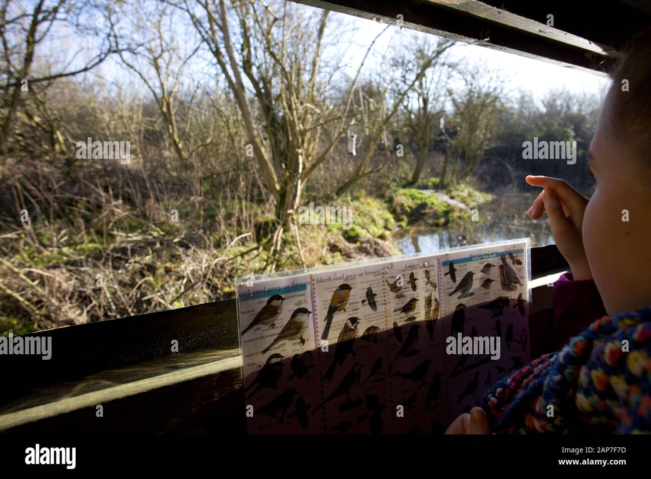 Girl child bird watching hi-res stock photography and images - Alamy