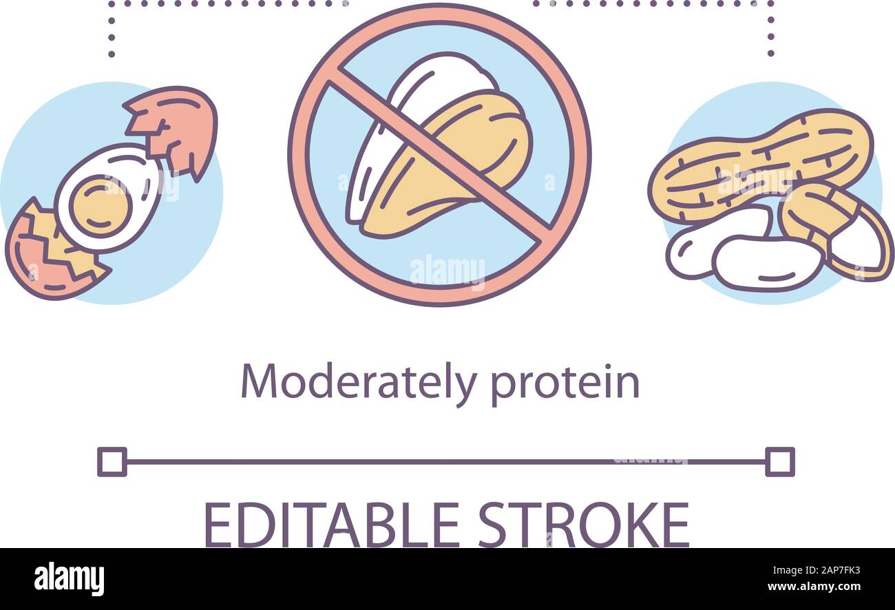 Moderately protein concept icon. Ketogenic diet idea thin line ...