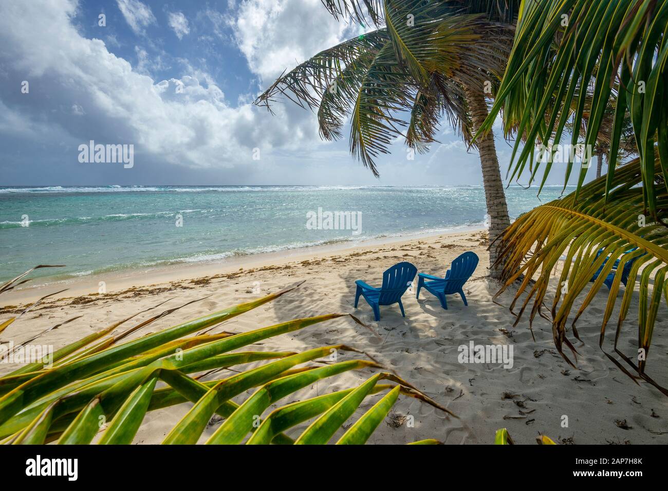 Sunset Beach Chairs Palm Trees High Resolution Stock Photography and Images - Alamy