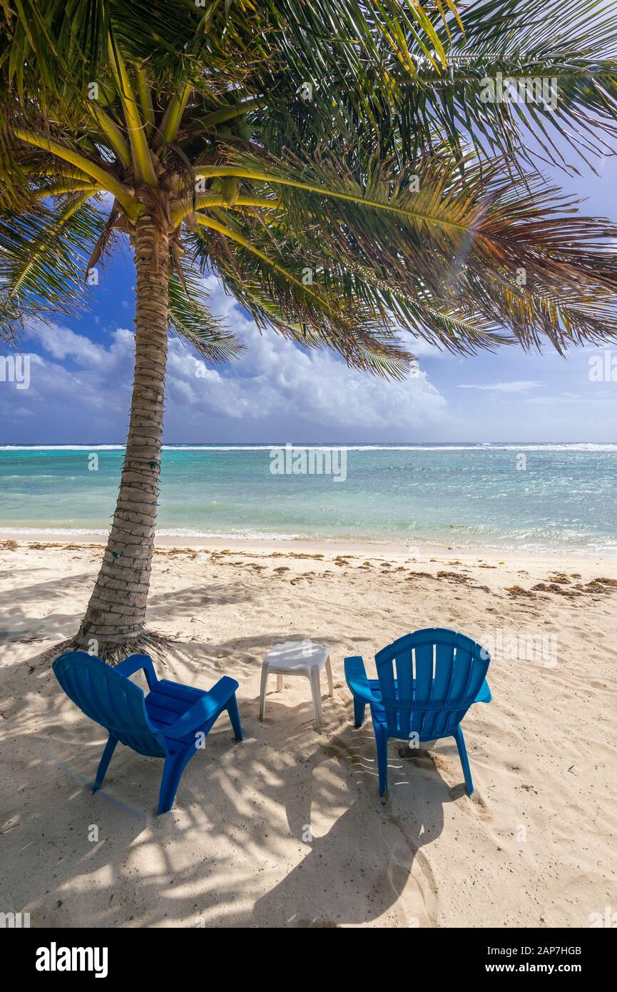 Beach chairs on perfect beach with palm trees Stock Photo - Alamy