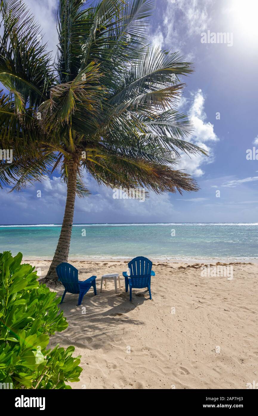 Beach chairs on perfect beach with palm trees Stock Photo - Alamy