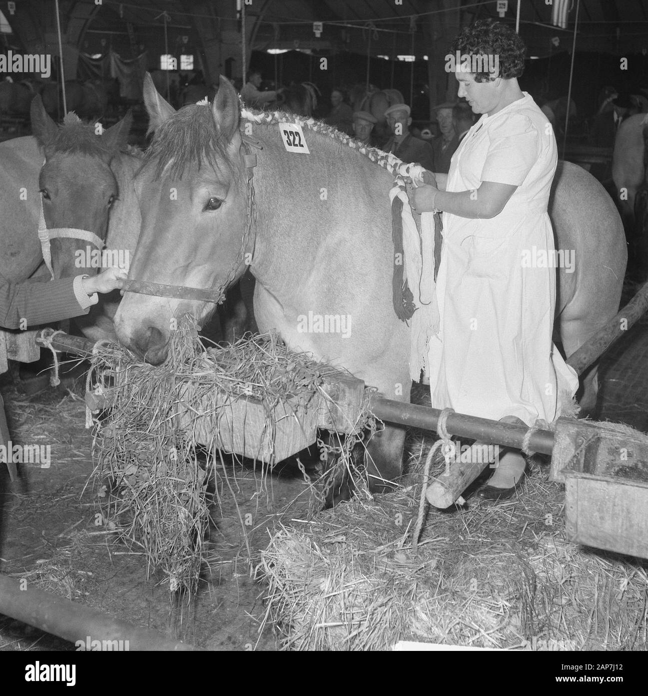30 th National exhibition for draft horses in Den Bosch Date: 14 ...