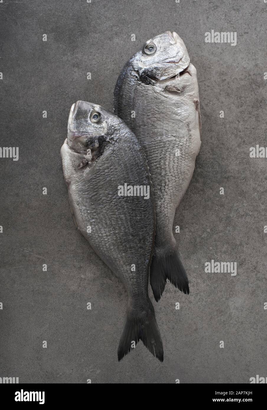 Fresh raw dorado fish on dark background Stock Photo - Alamy