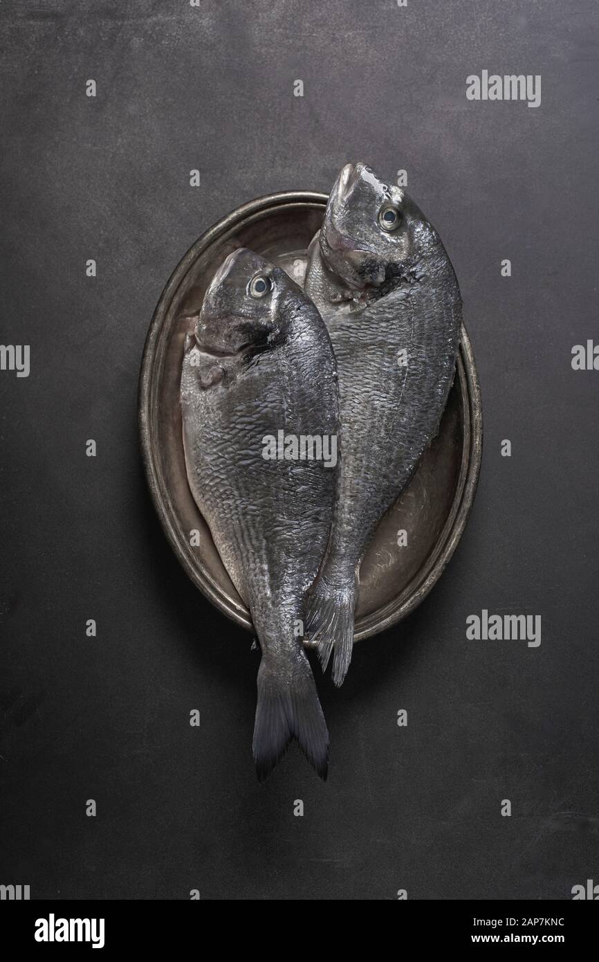 Fresh raw dorado fish on dark background Stock Photo - Alamy