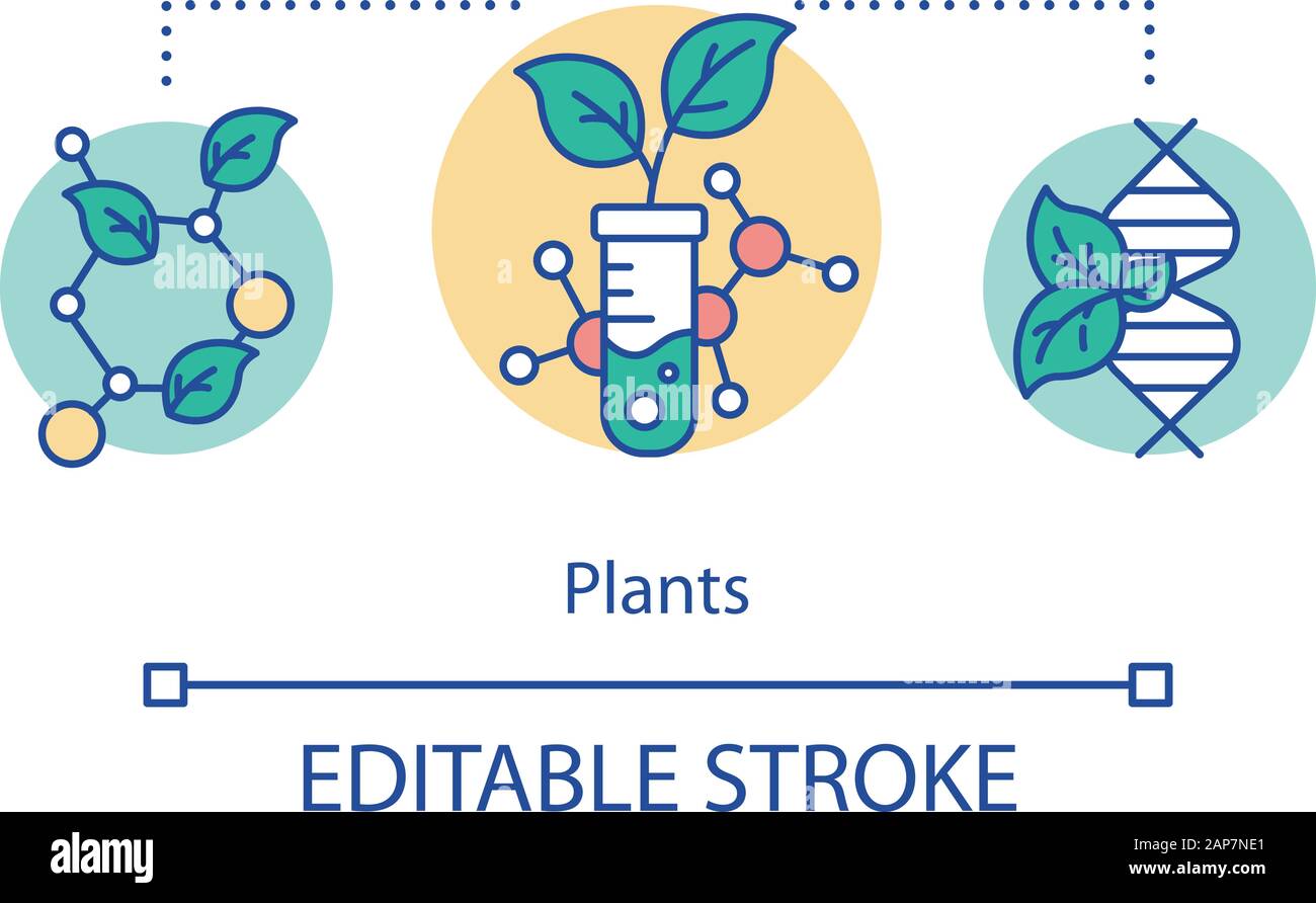 Plants concept icon. Artificial selection of signs. Breeding new ...