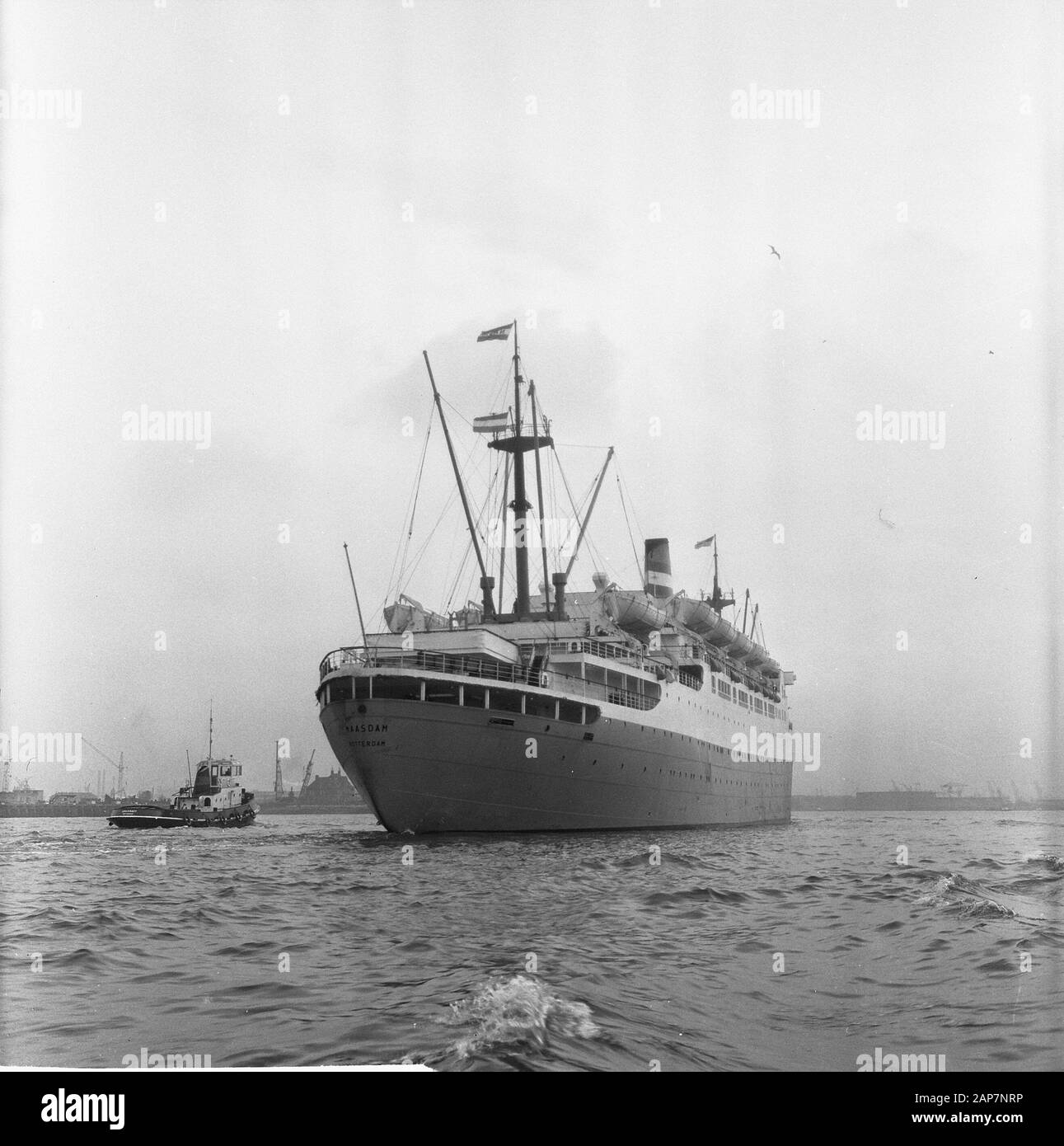 Ss maasdam hi-res stock photography and images - Alamy
