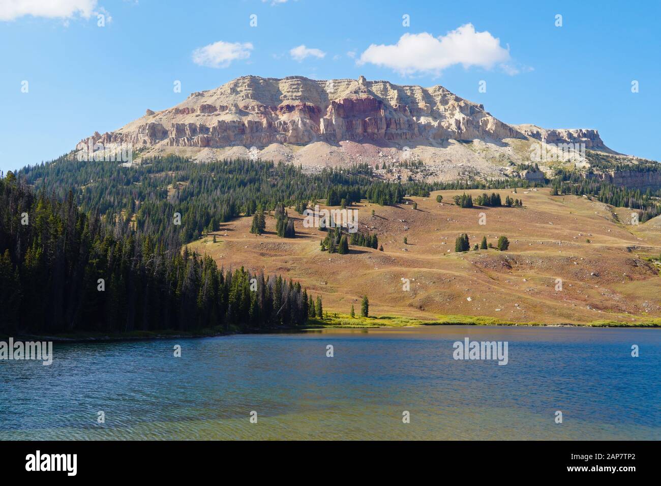 A colorful sandstone cliff overlooks a mountain meadow, pine tree ...