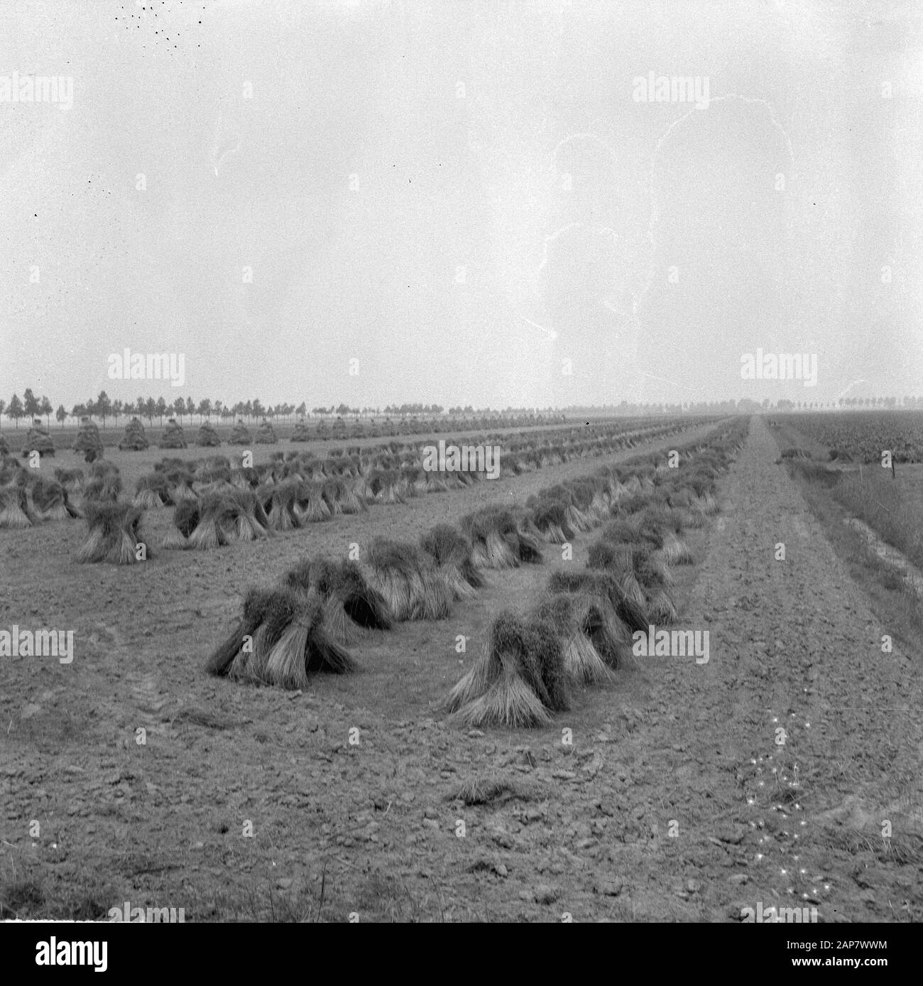 22 july 1964 hi-res stock photography and images - Alamy