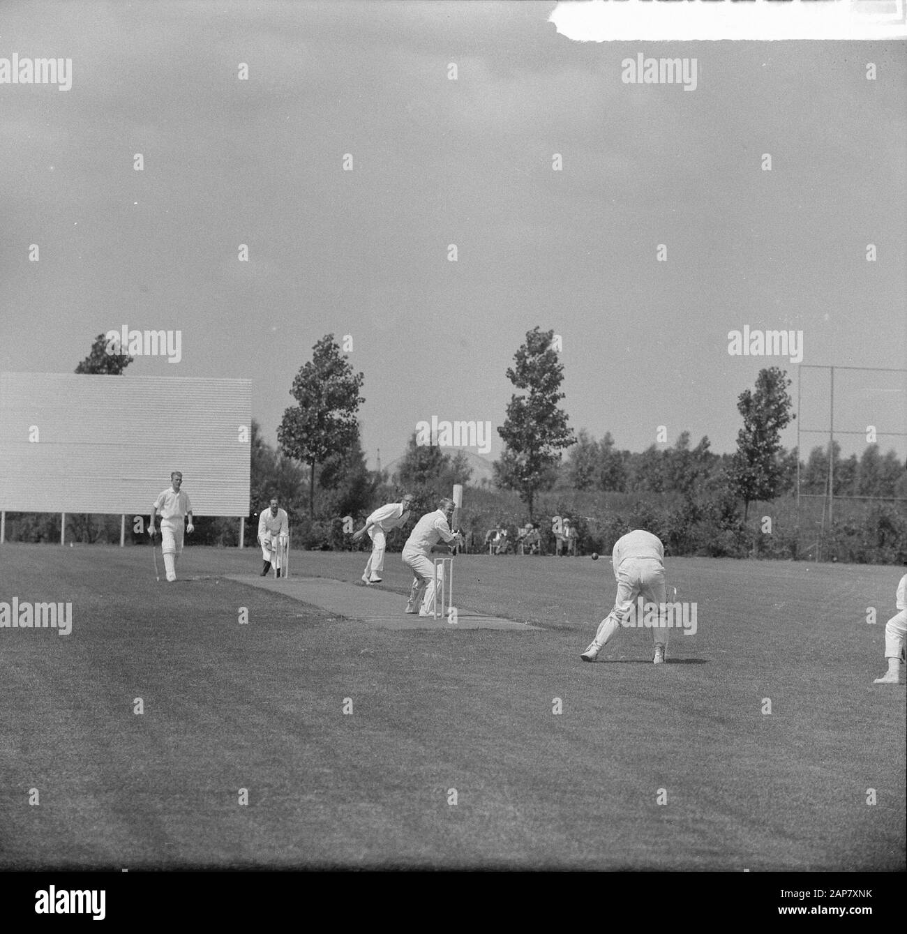 Quick cricket hi-res stock photography and images - Alamy