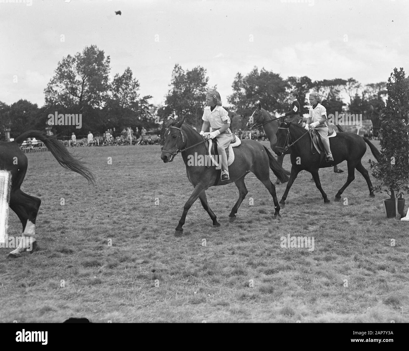 Prestige royal Black and White Stock Photos & Images - Alamy