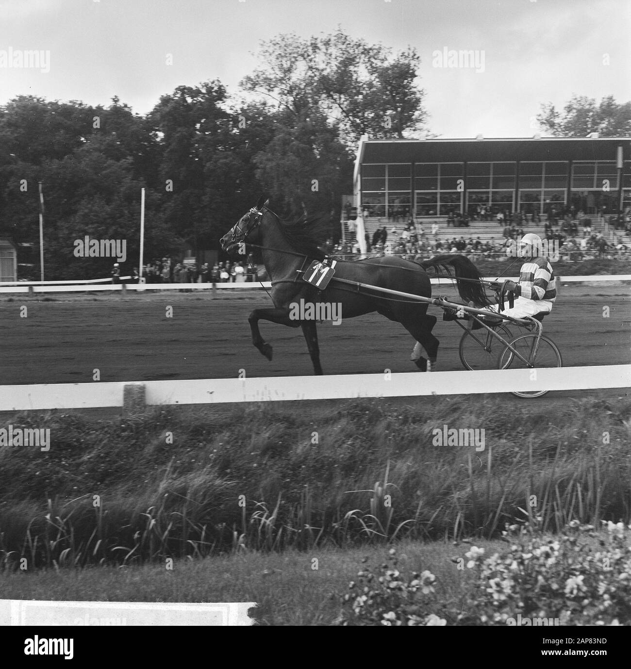 De Gouden Whip op Duindigt Date: September 18, 1965 Keywords: WIPs ...