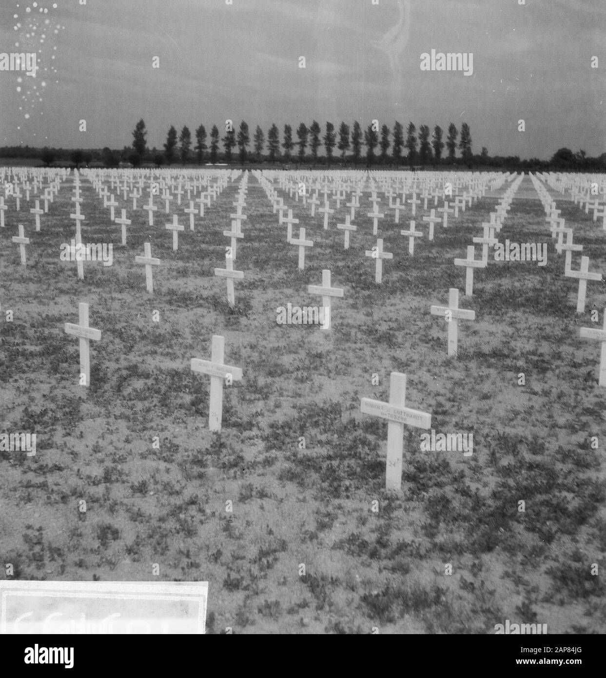 Graves netherlands american cemetery hi-res stock photography and ...