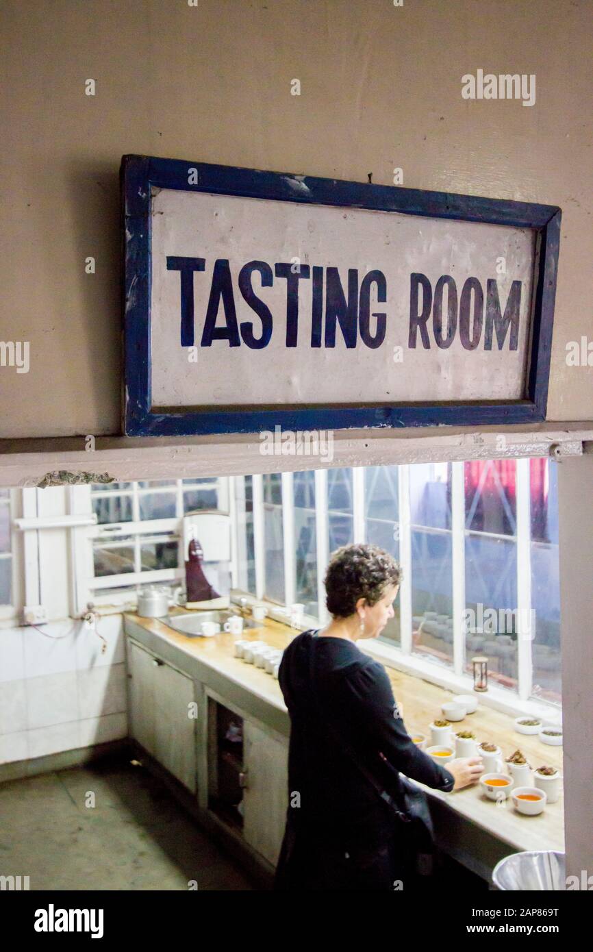 Tea tasting hi-res stock photography and images - Alamy