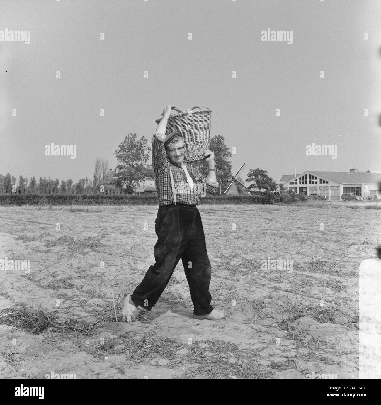 Bulb planting Black and White Stock Photos & Images - Alamy