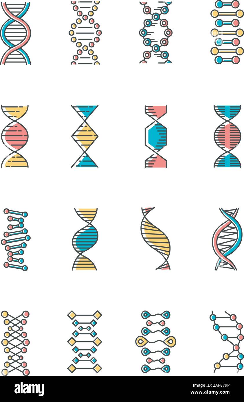 DNA helix color icons set. Deoxyribonucleic, nucleic acid structure ...