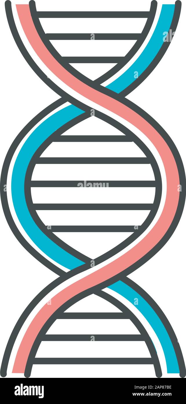 DNA helix color icon. Deoxyribonucleic, nucleic acid structure ...