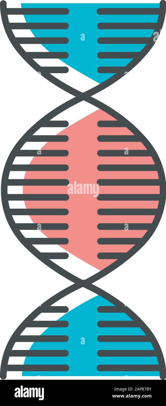 DNA spiral color icon. Deoxyribonucleic, nucleic acid helix. Spiraling ...