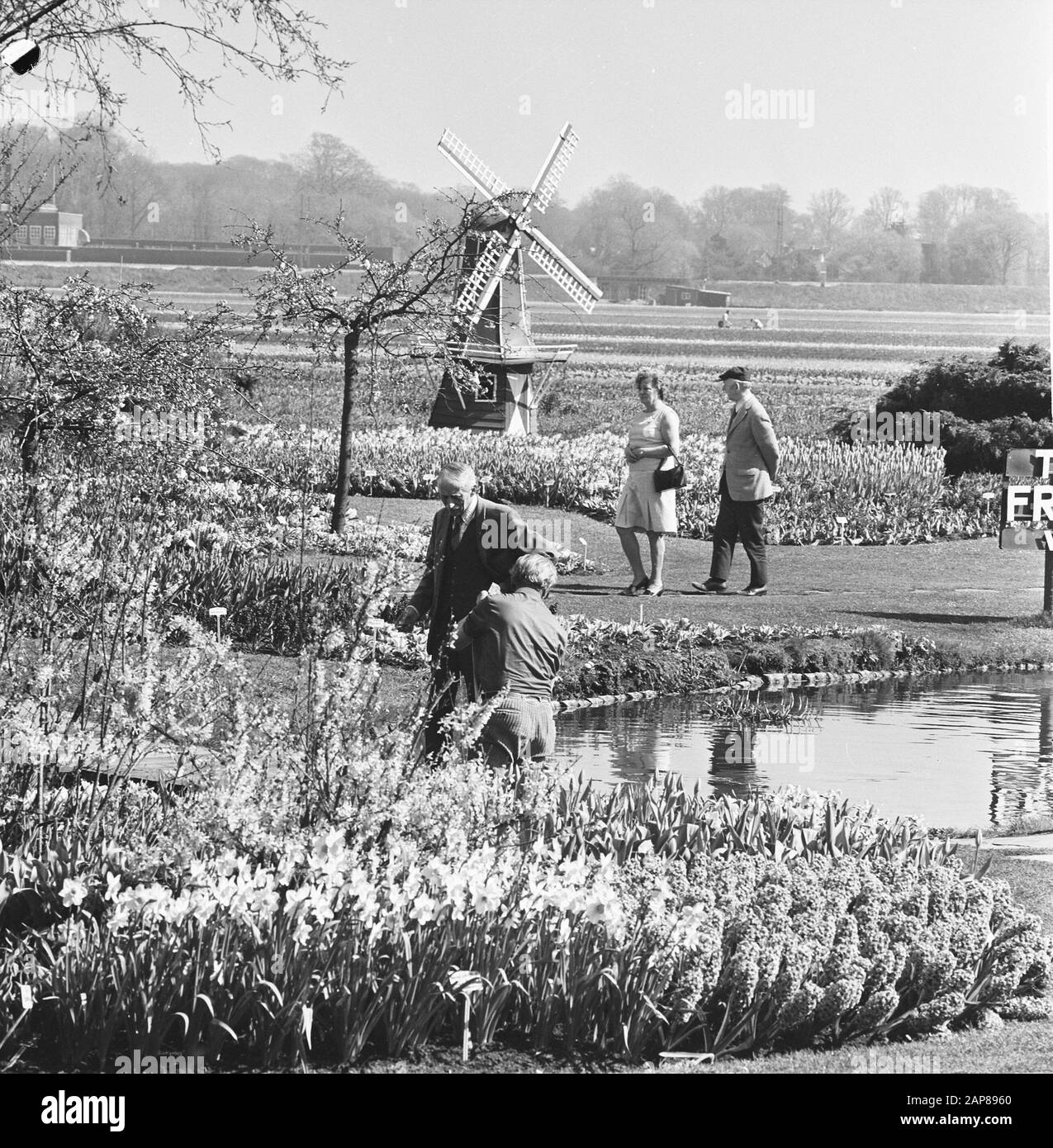 Frans roozen hi-res stock photography and images - Alamy