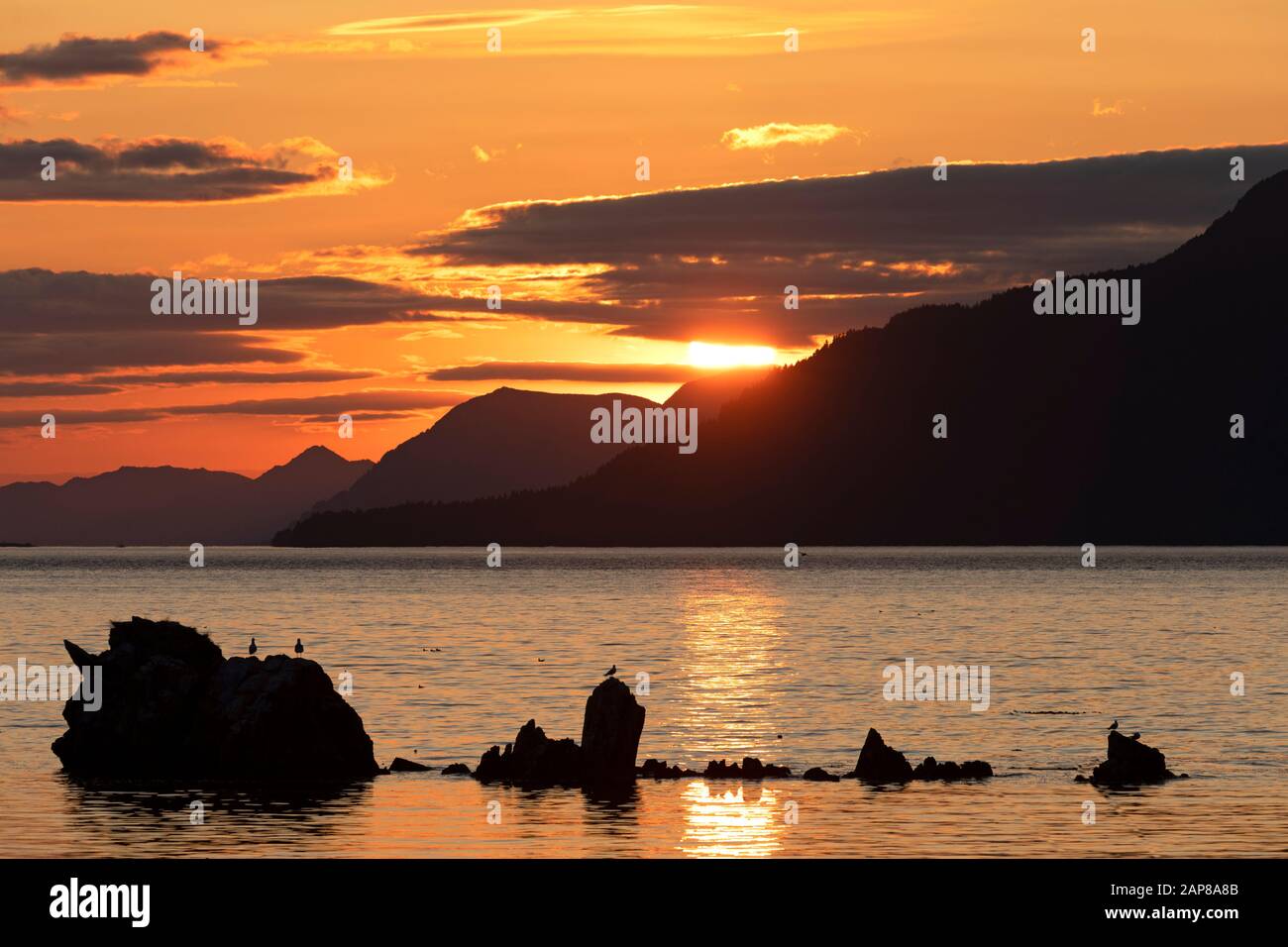 Anton larson hi-res stock photography and images - Alamy