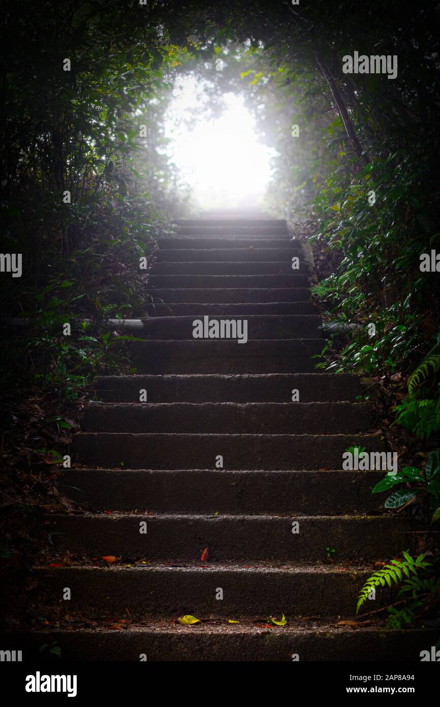 Bright light at the end of stairs through a dark, wooded tunnel Stock Photo - Alamy