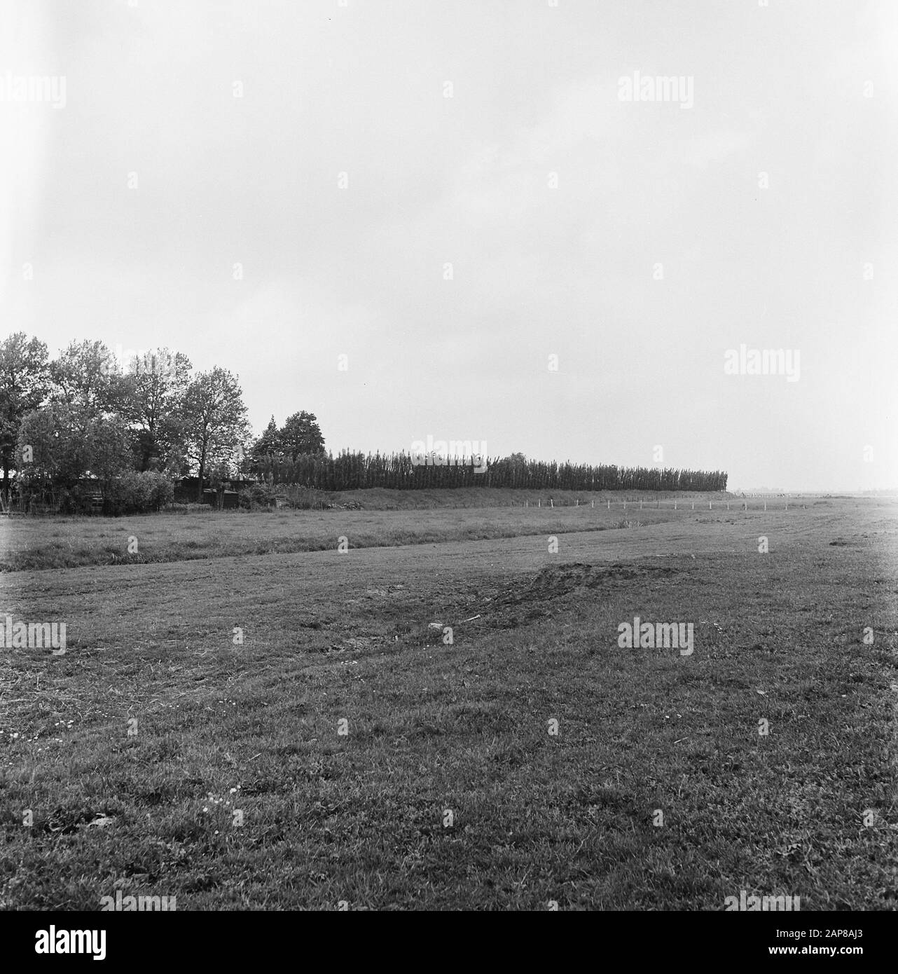 farmers' plantations, cemeteries Date: undated Location: Bodegraven ...