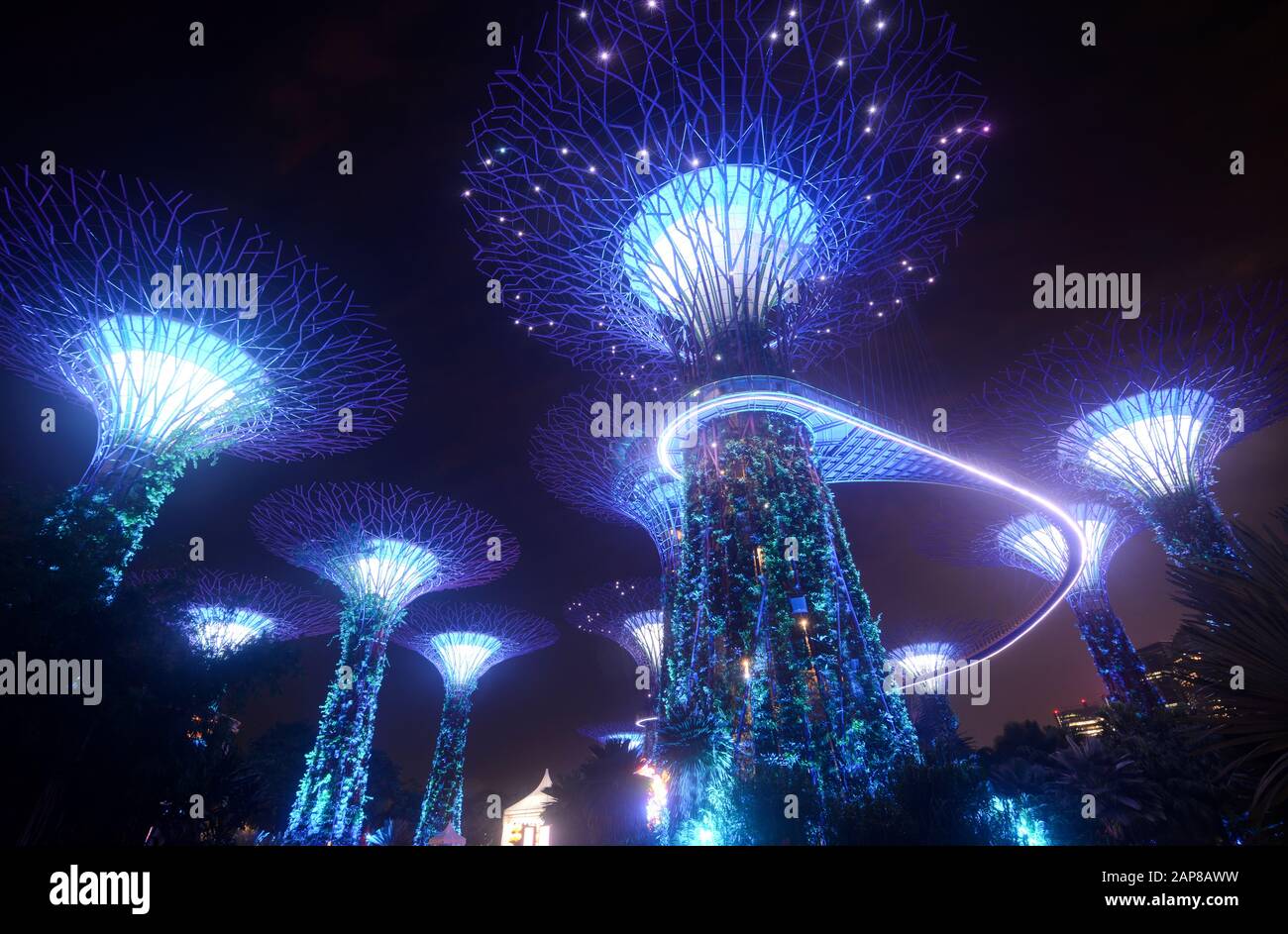 SINGAPORE - SEPTEMBER 8, 2018 - Supertree Grove night illumination at ...