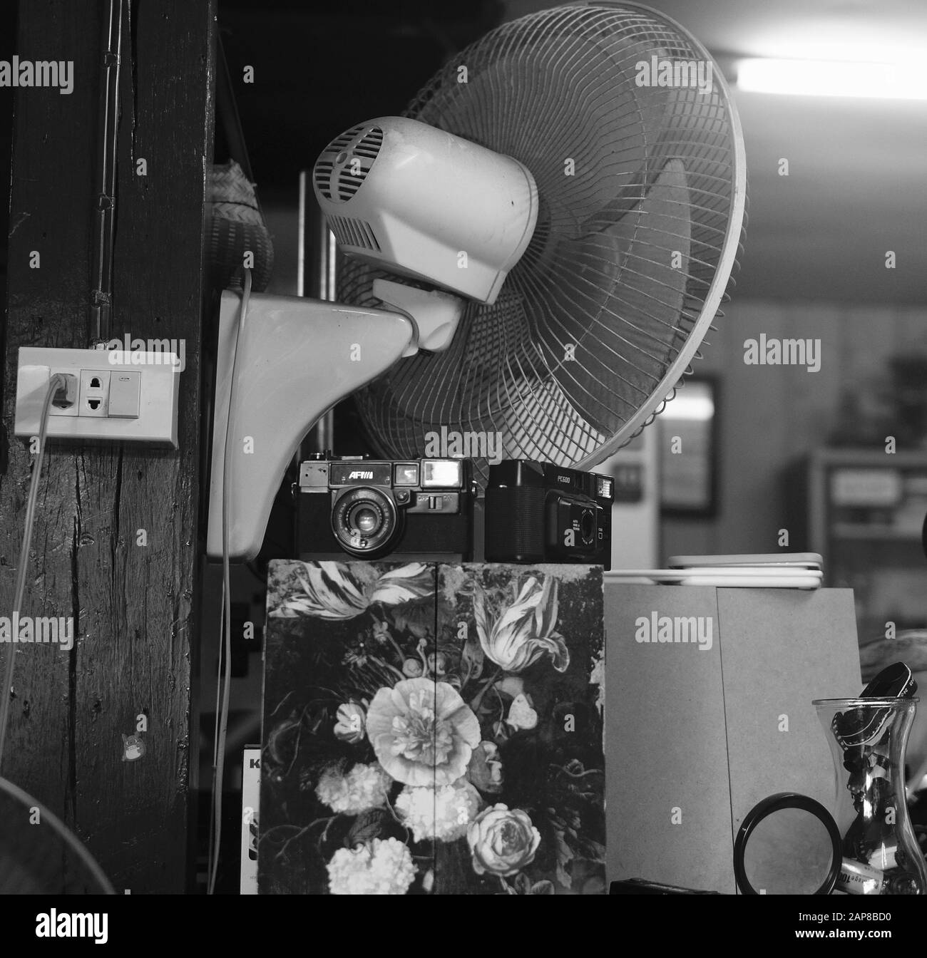 Camera bug Black and White Stock Photos & Images - Alamy