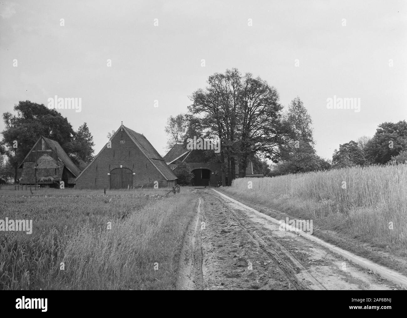 Velthuis Black and White Stock Photos & Images - Alamy