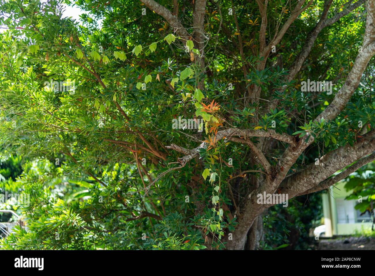 Rural japan life hi-res stock photography and images - Alamy