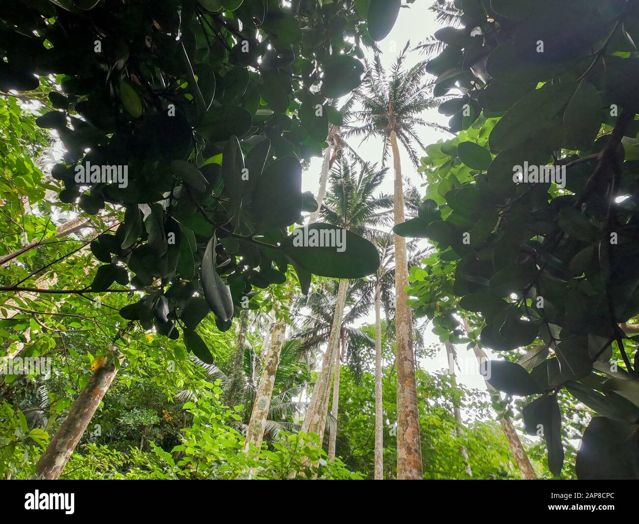 Maibara hi-res stock photography and images - Alamy