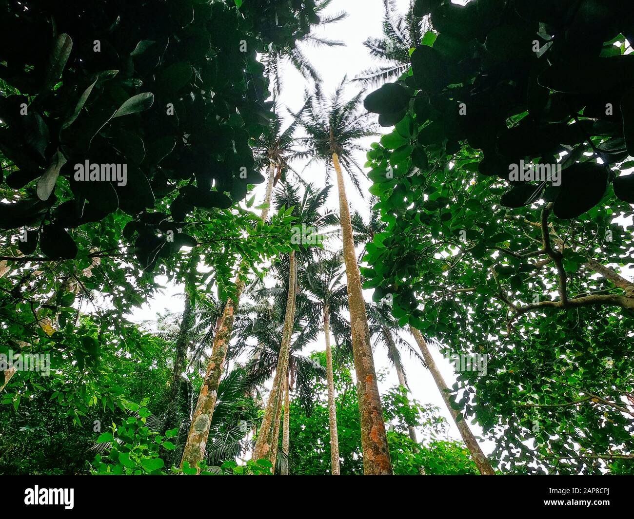 Maibara hi-res stock photography and images - Alamy