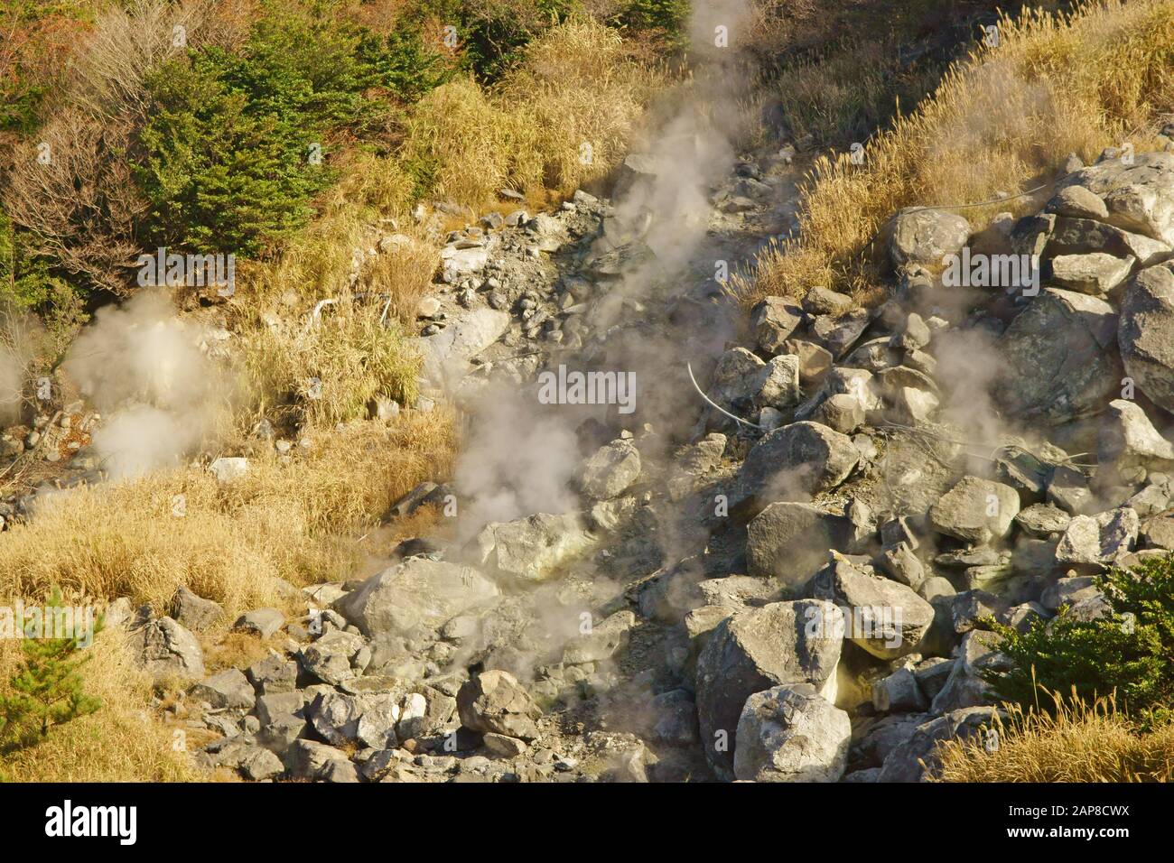 Rising steam, Jigoku Onsen, Kumamoto Prefecture, Japan Stock Photo - Alamy