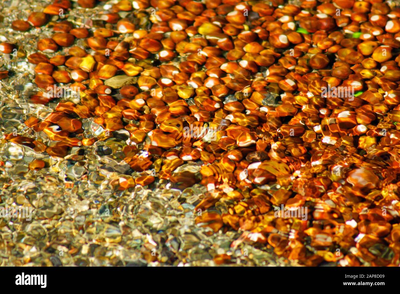 Acorn in stream flowing spring water Stock Photo - Alamy