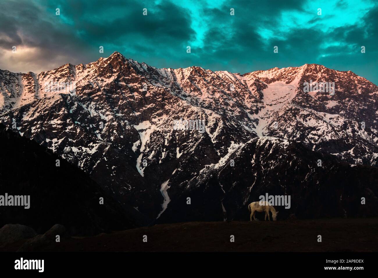 Dhauladhar range hi-res stock photography and images - Alamy