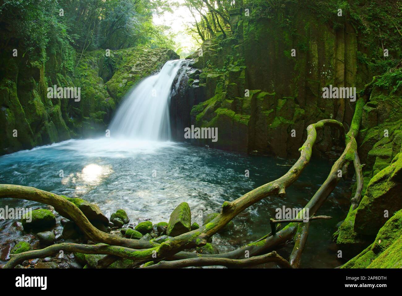 Kikuchi Gorge, Kumamoto Prefecture, Japan Stock Photo - Alamy