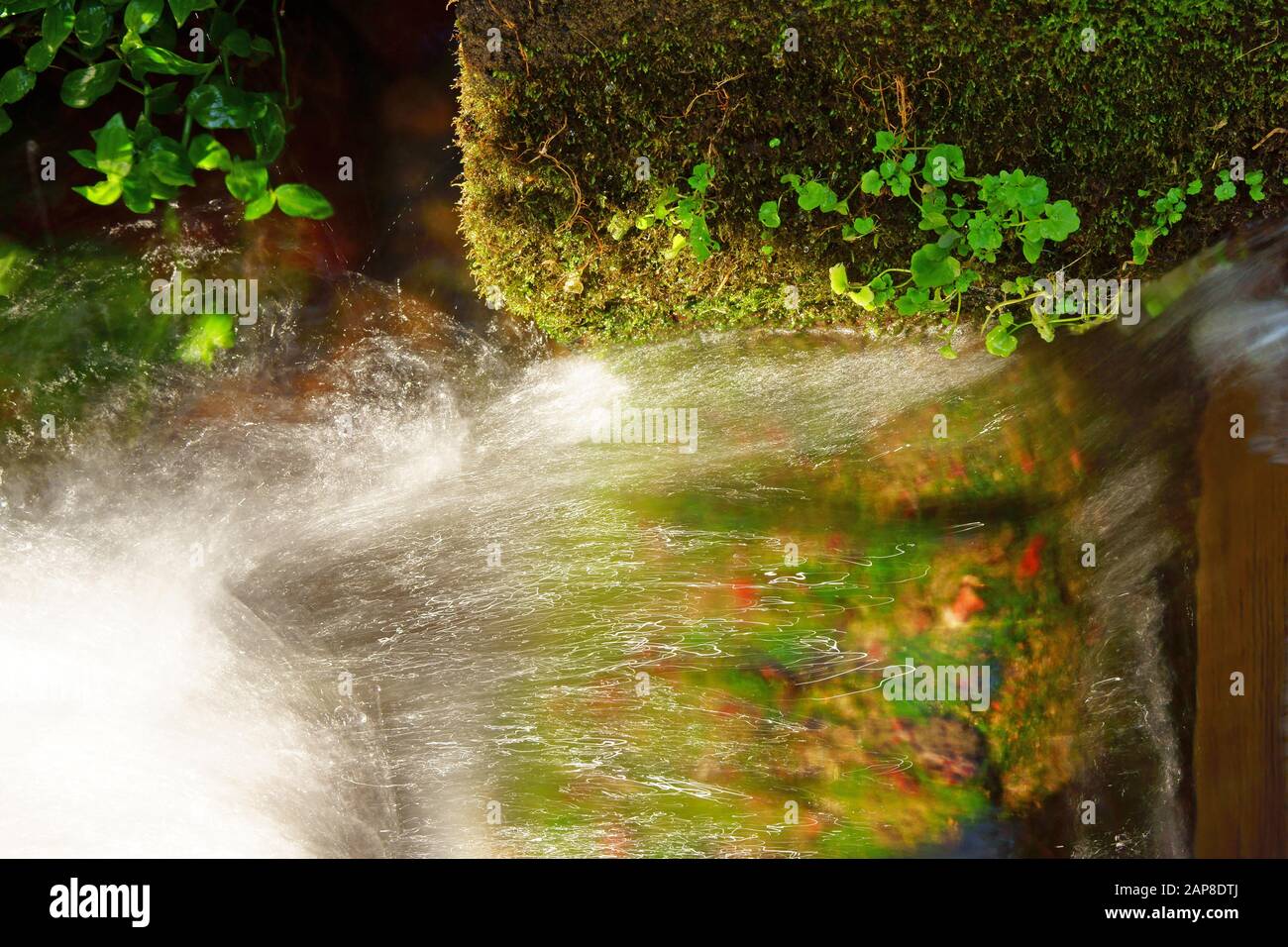 Stream, spring water flowing Stock Photo - Alamy