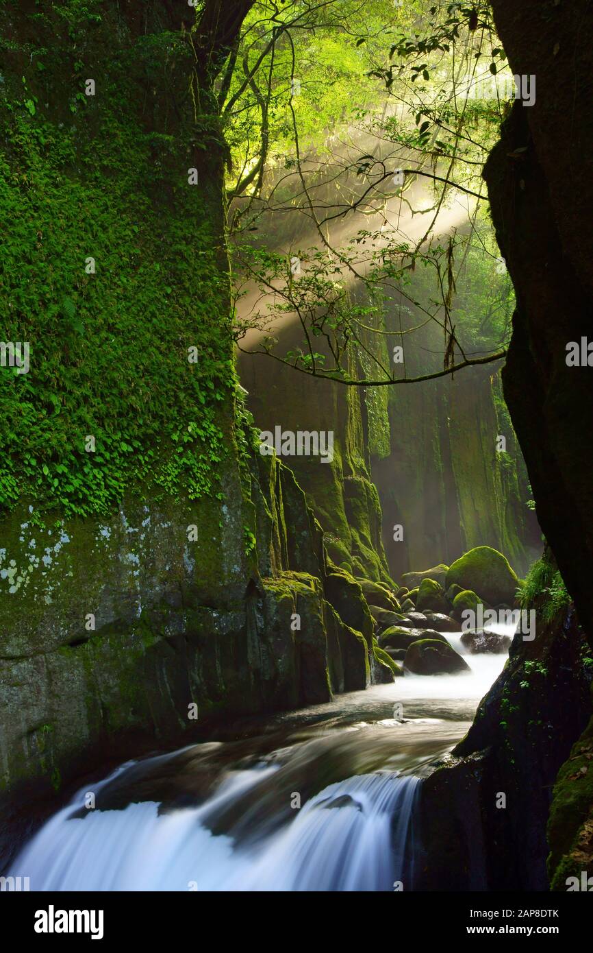 Kikuchi Gorge, Kumamoto Prefecture, Japan Stock Photo - Alamy