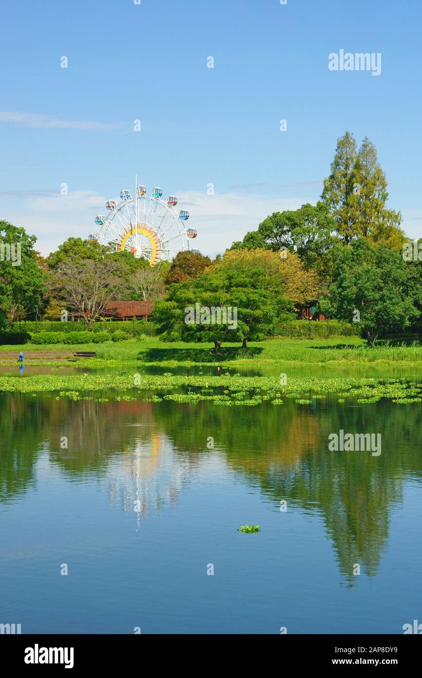 Lake Ezu, summer, Kumamoto Prefecture, Japan Stock Photo - Alamy