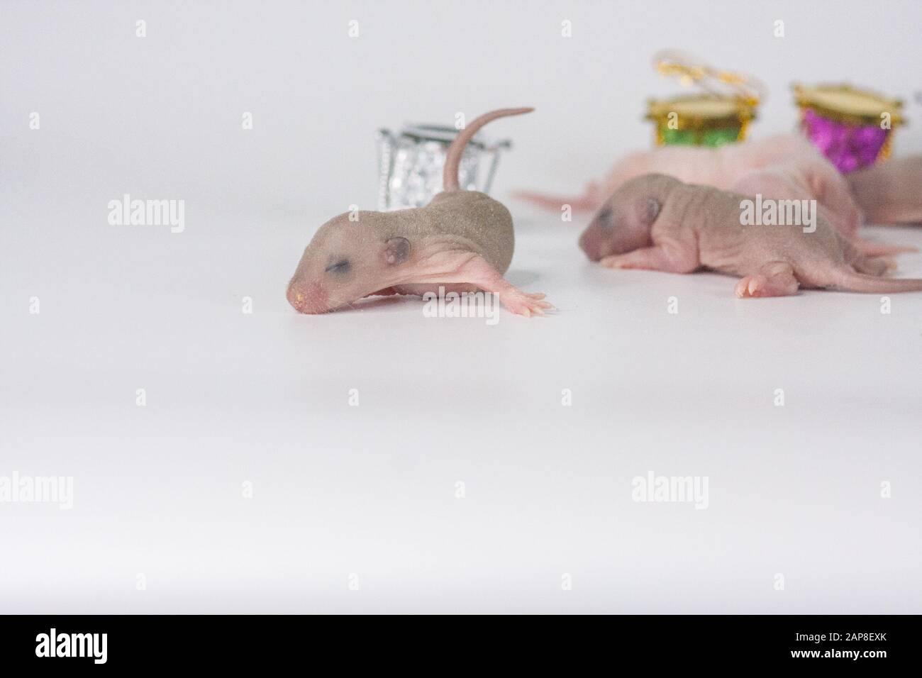 Astrological table hi-res stock photography and images - Alamy