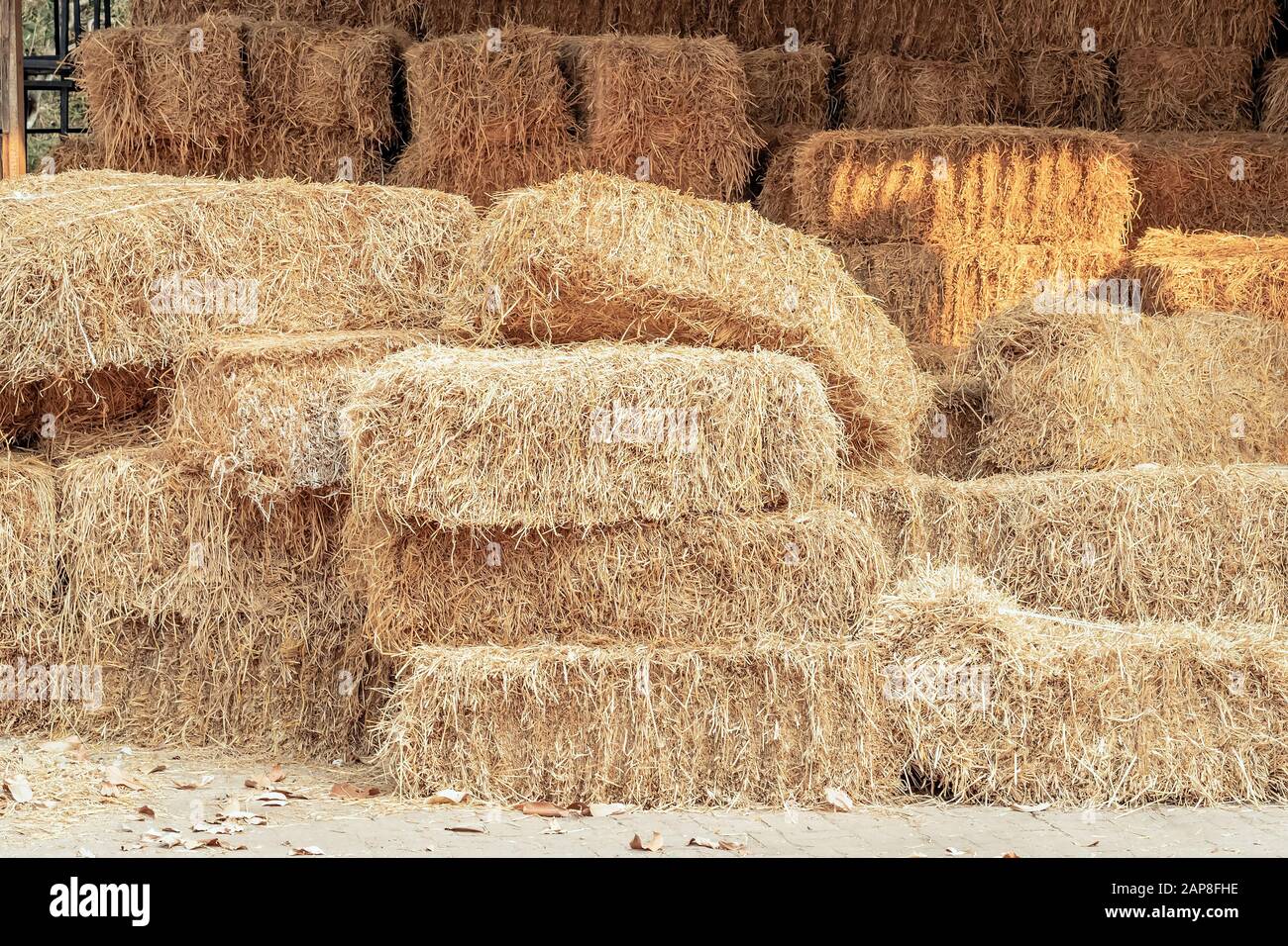 Rice straw bales storage hi-res stock photography and images - Alamy