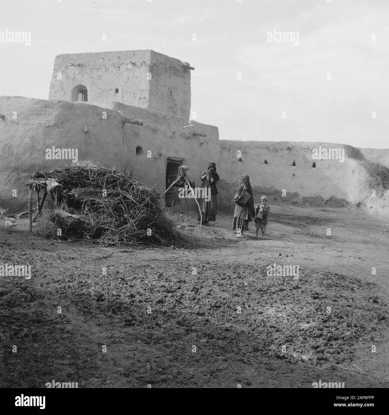 Population growth trends Black and White Stock Photos & Images - Alamy