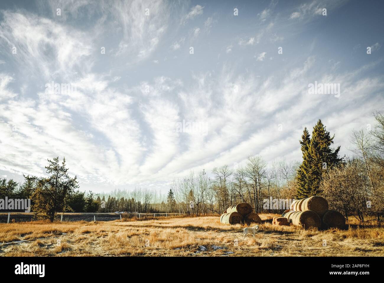 A Farm in Medow Lake, Canada Stock Photo - Alamy