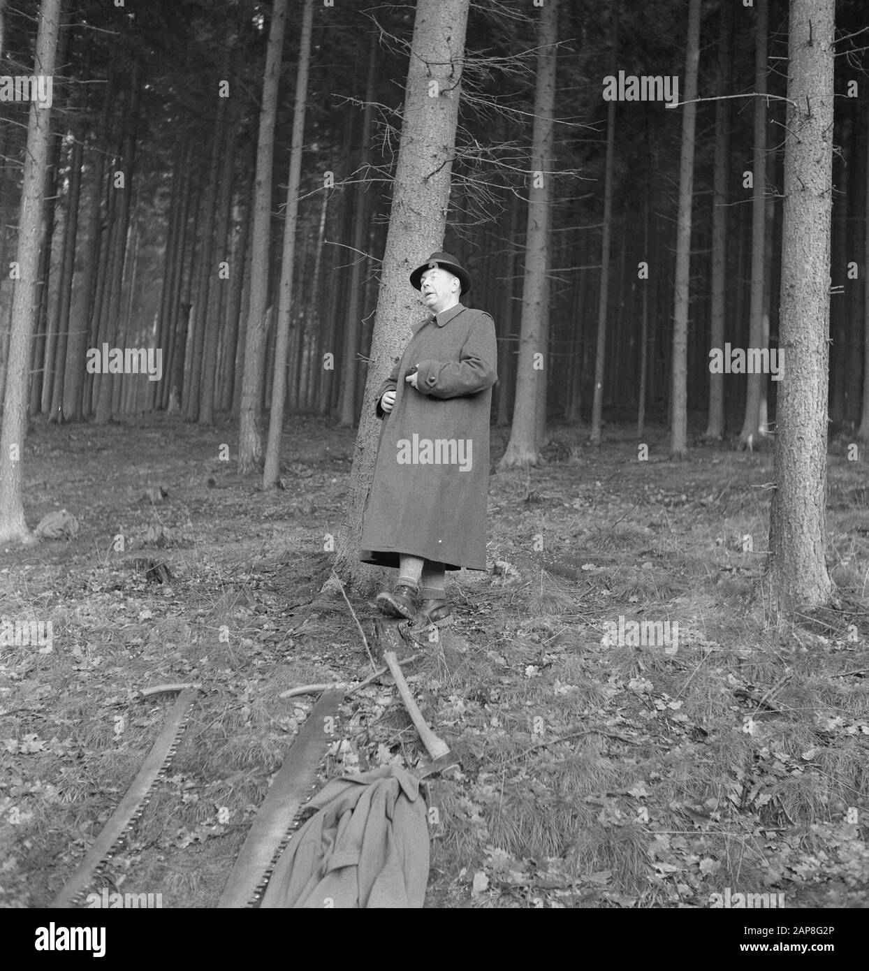 Men logging hi-res stock photography and images - Alamy