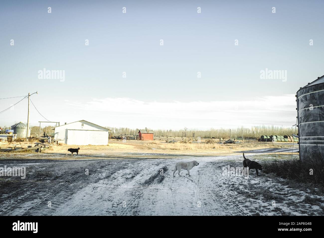 A Farm in Medow Lake, Canada Stock Photo - Alamy