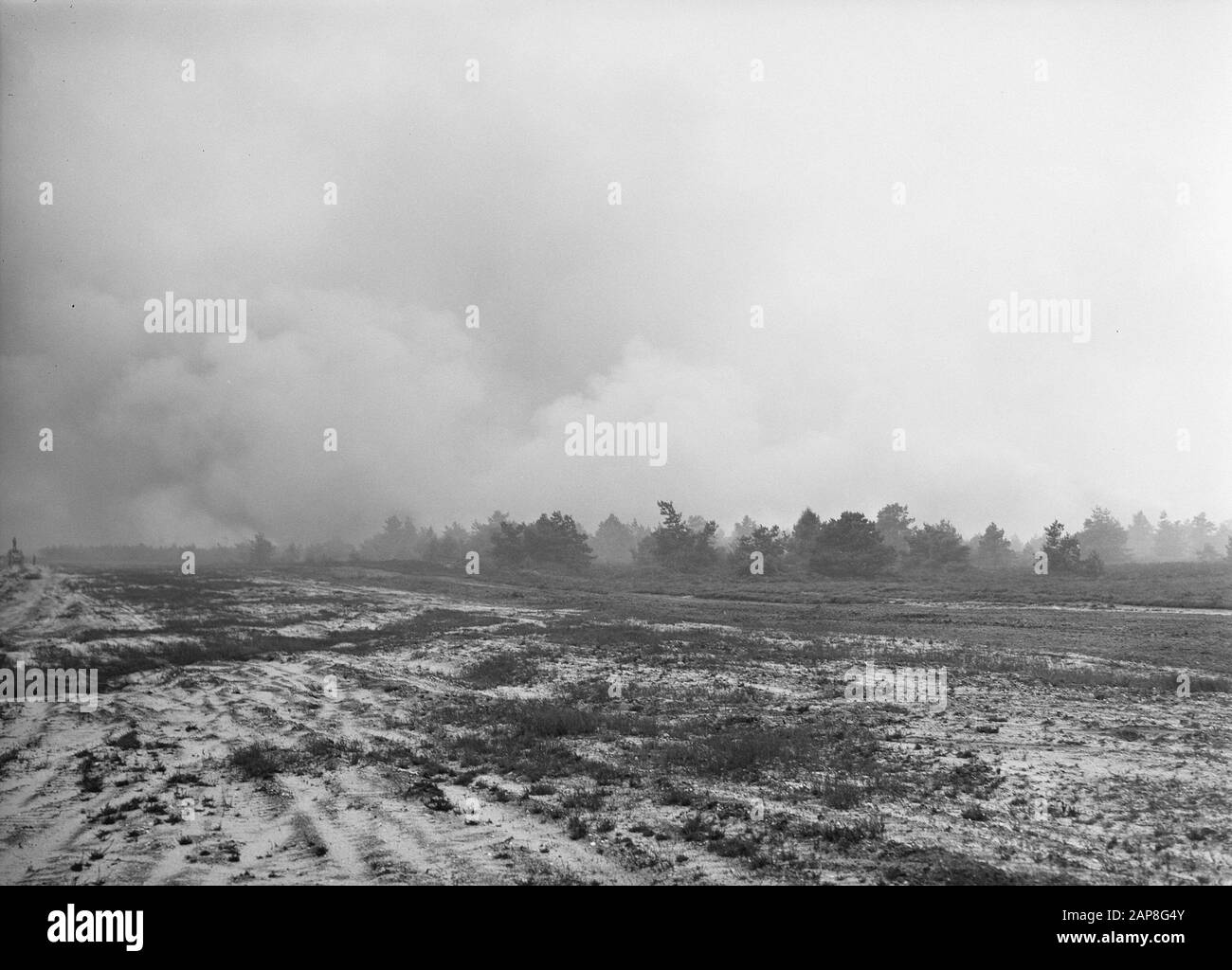 forest fire and storm damage, fireproof, strips Date: undated Keywords ...