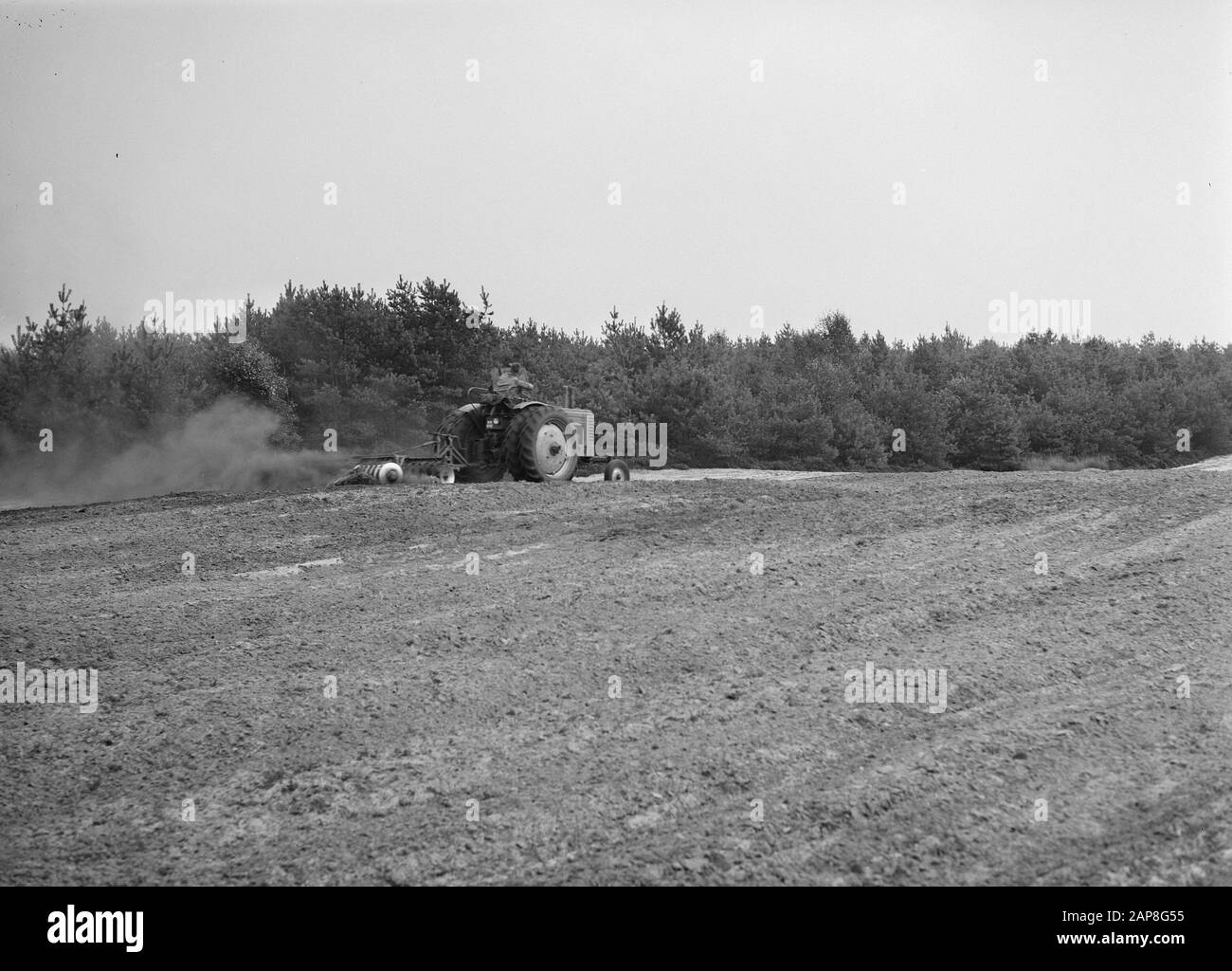 forest fire and storm damage, fireproof, strips, work Date: undated ...