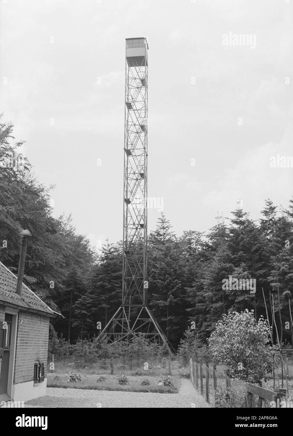 forest fire and storm damage, forest fire towers Date: undated Location ...