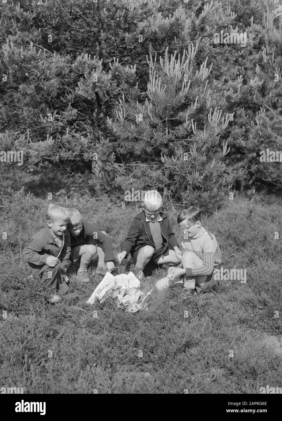 forest fire and storm damage, children, fire-playing Date: undated ...