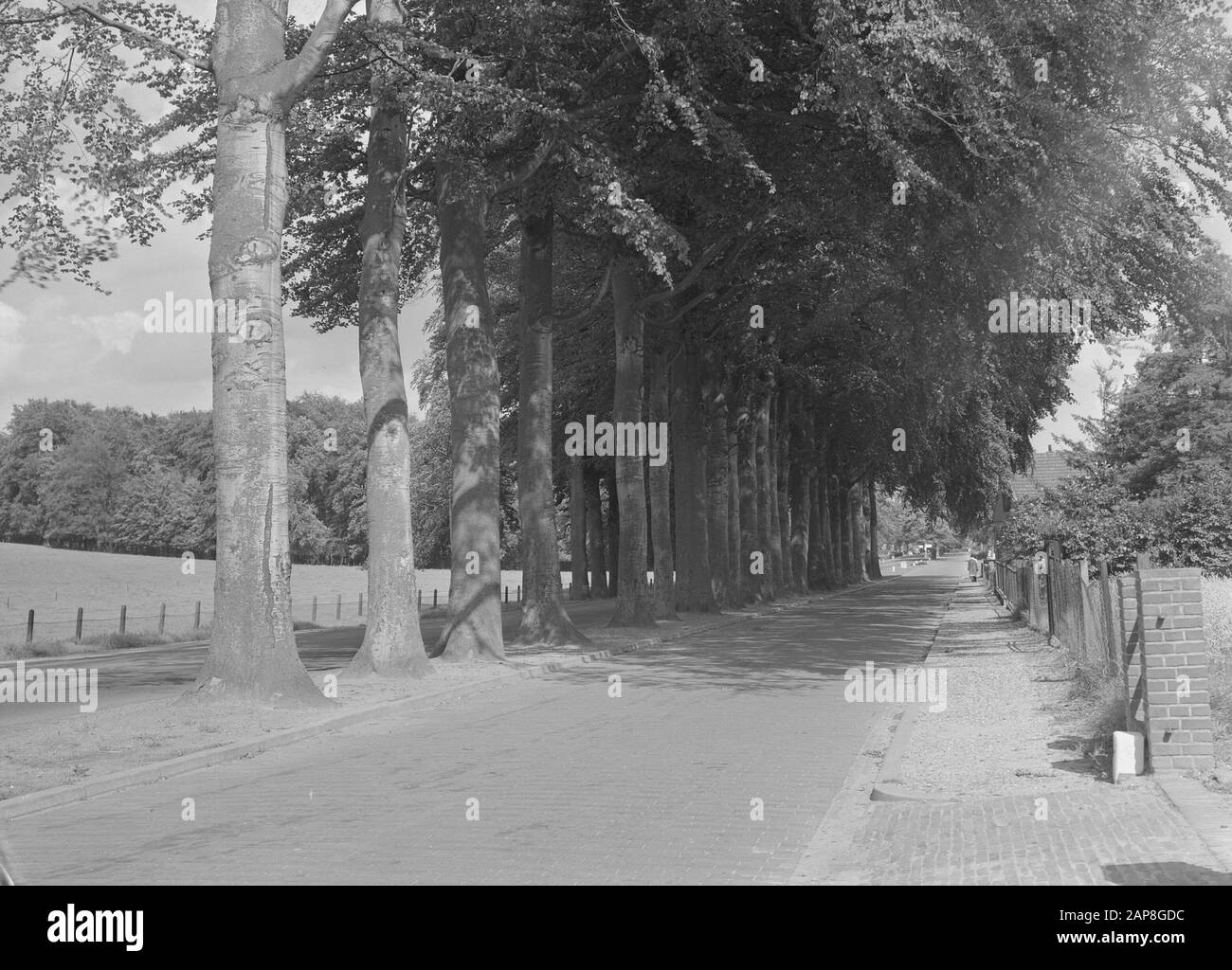 De valkenberg hi-res stock photography and images - Alamy